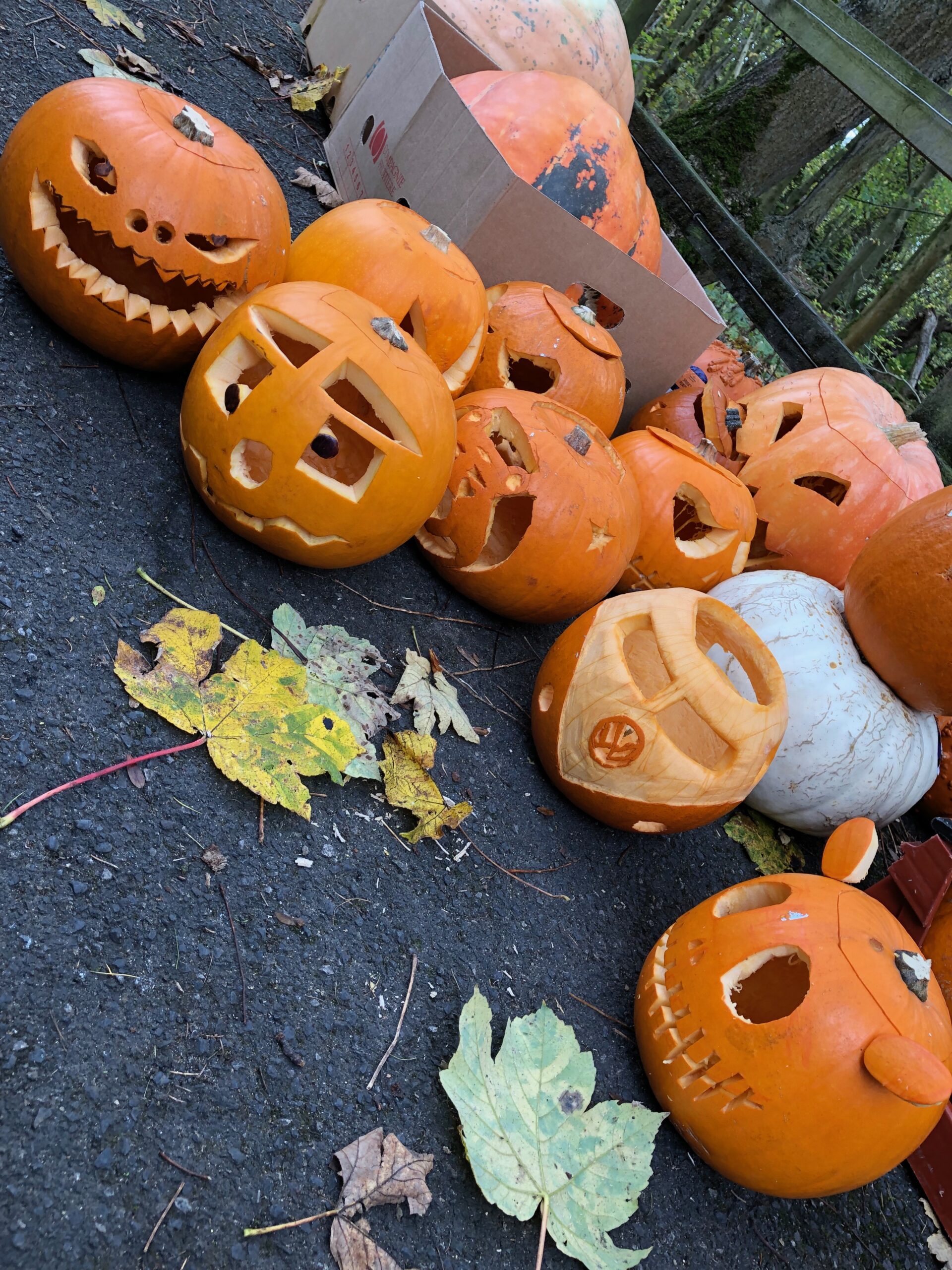 Pumpkin Trail – The Leeds Scare Trails